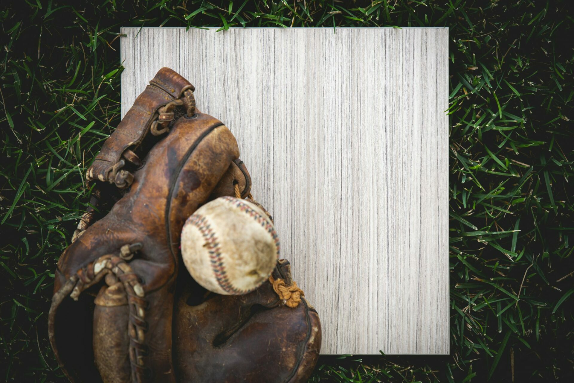 STEVENSWOOD® Inspiration Gallery | Case Studies and Interior Trends